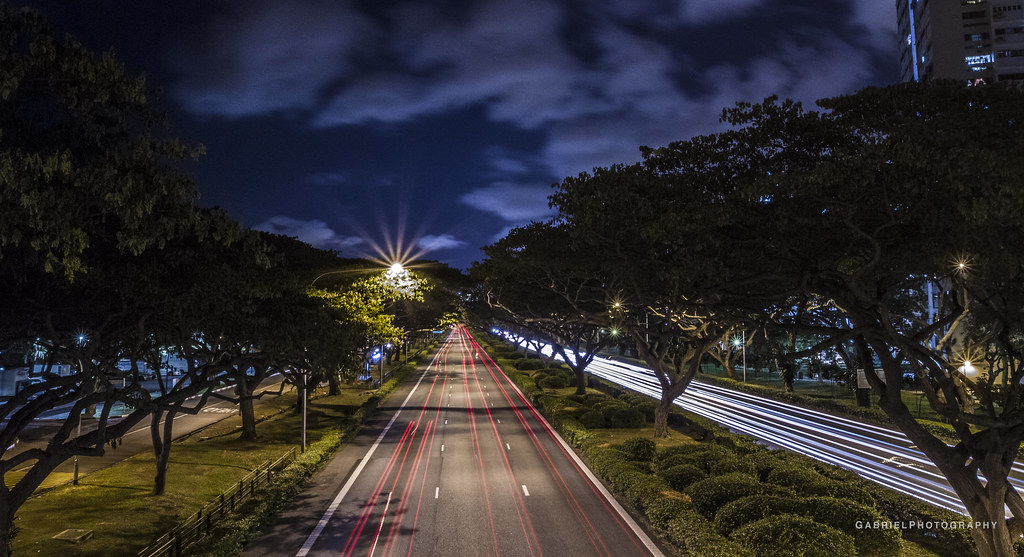 Night Boulevard: Long-Exposure Light Trails Through a Tree-Lined City Avenue