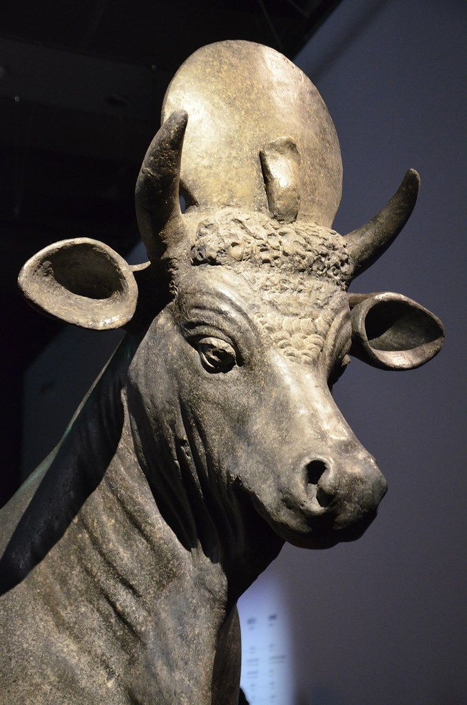 Lifesize basalt statue of the Apis Bull dedicated by Hadri… | Flickr