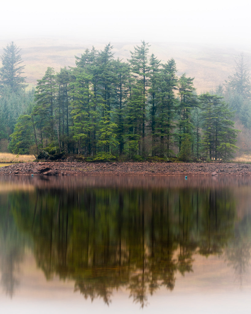 Pine Island on Beacons Reservoir at Dawn: Dense Conifer Outcrop Reflected in Glassy Water Amid Morning Mist