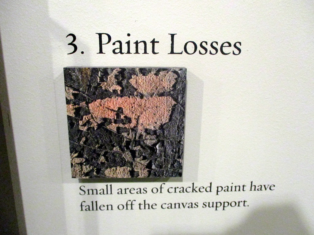 Example of Paint Losses in Display of Damage to a Painting… | Flickr