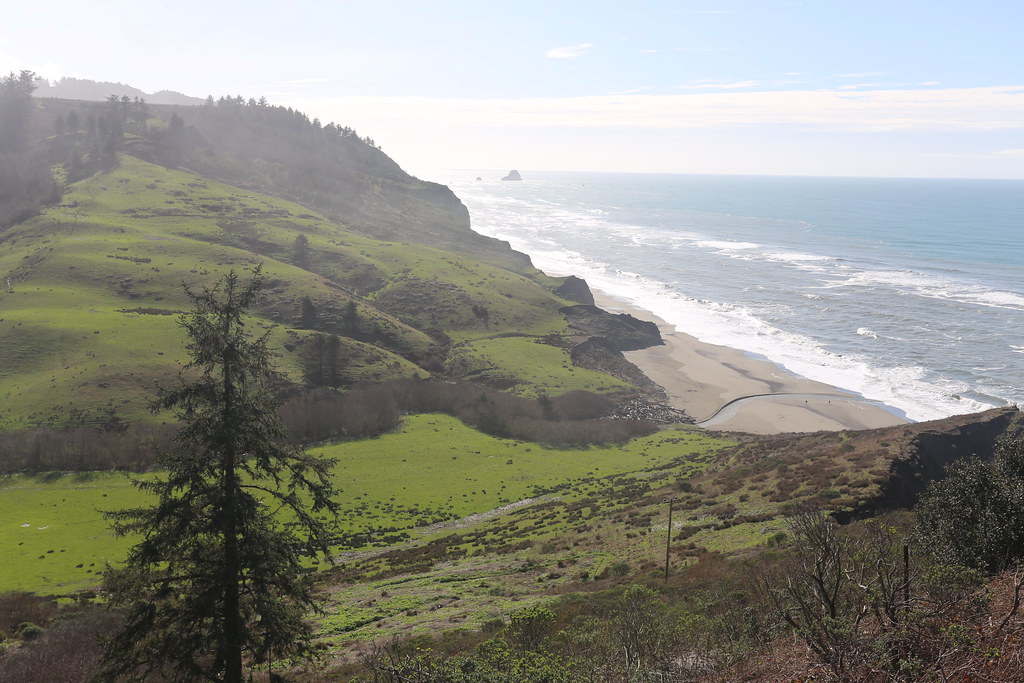 Lost Coast Headlands from Fleener Creek Trail: Green Cliffs, Narrow Beach, and Pacific Horizon