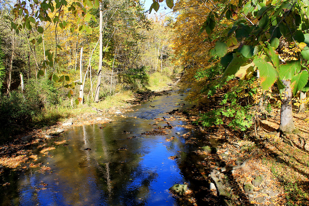 Mill Creek MetroPark - Suspension Bridge. “Sometimes, if you stand on...a bridge and lean over to watch the river slipping slowly away beneath you, you will suddenly know everything there is to be known.” --Winnie the Pooh