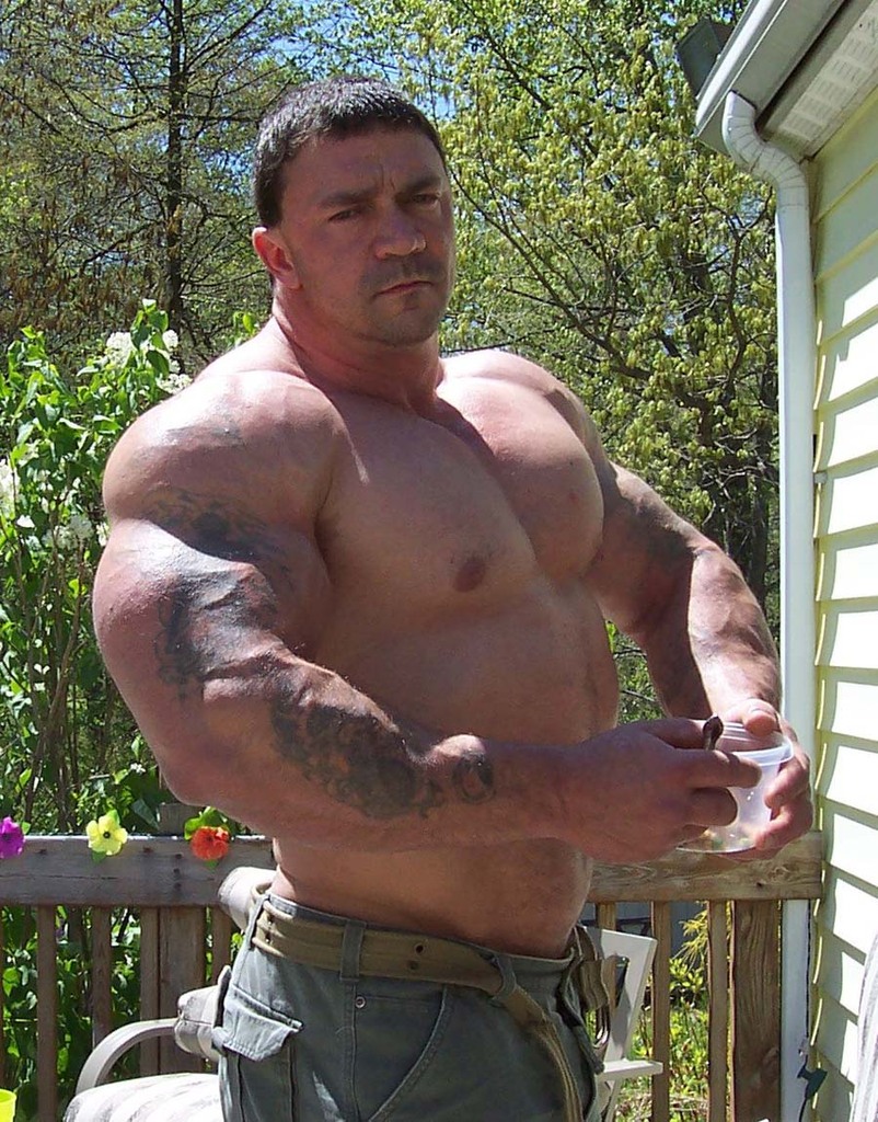Muscle Bull Musclefreak11 Flickr