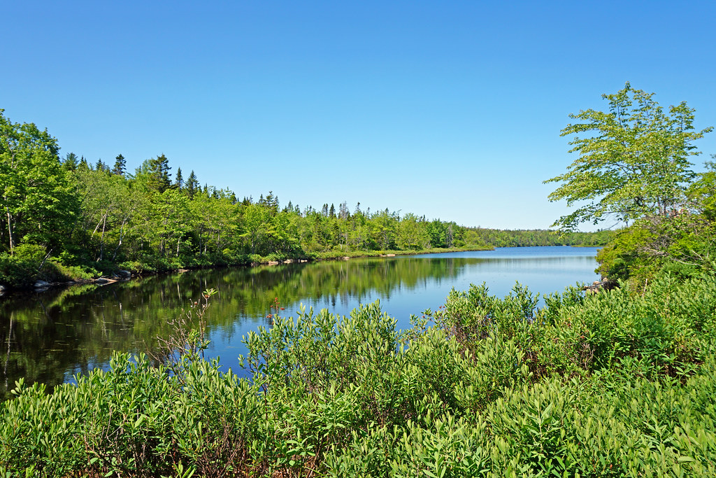 Colpitt Lake Shoreline, Halifax Region, Nova Scotia — Forested banks and tranquil reflections