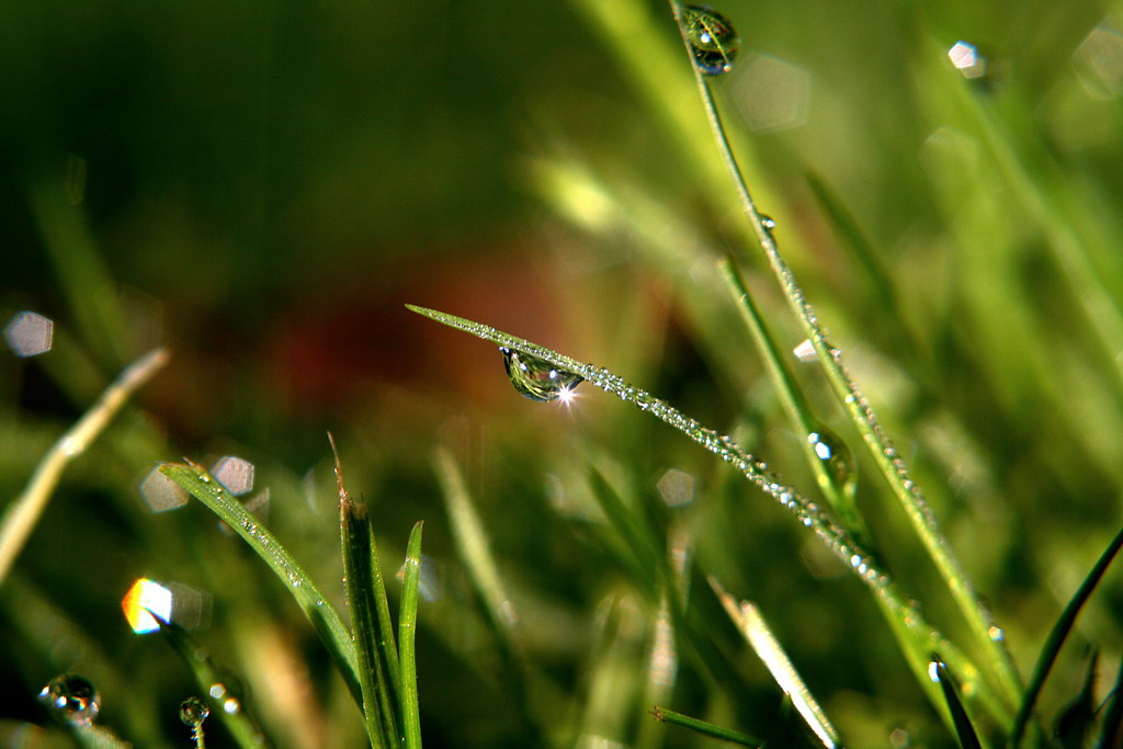 our-daily-challenge-flickr