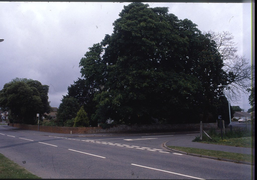 MUSCLIFFE LANE / GRANBY RD. BOURNEMOUTH. DORSET. JULY 1987… | Flickr
