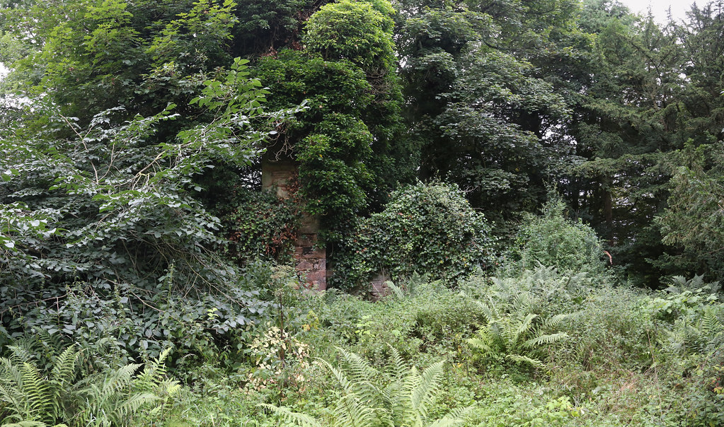 Auchinleck Old House (14 of 14) | The overgrown north side o… | Flickr
