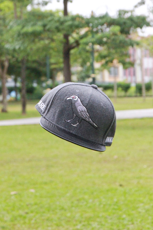 Terrorizer Crow V2 Snapback by Junkcult x RARE Clothing | Gray/Black Limited Edition (50 pieces)