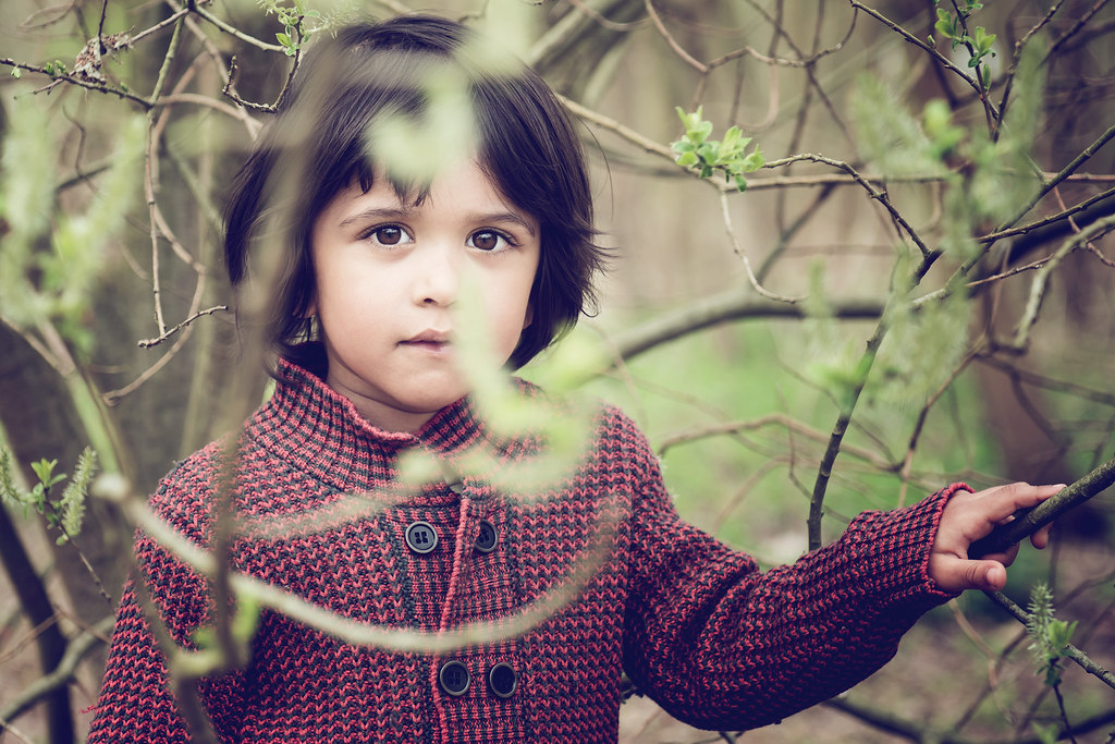 Forest walks | Flickr