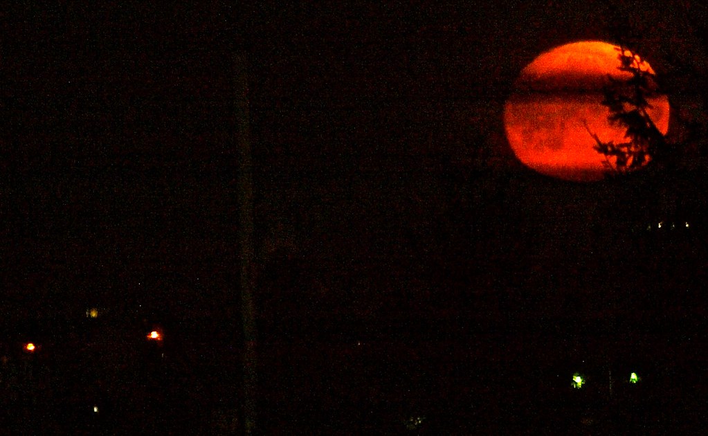 The Red Moon | Caught this shot of a full red moon as it was… | Flickr