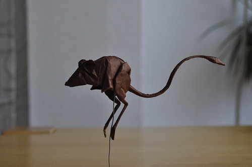 Jerboa (Tran Trung Hieu) | Folded from a 25x25cm sheet of do… | Flickr