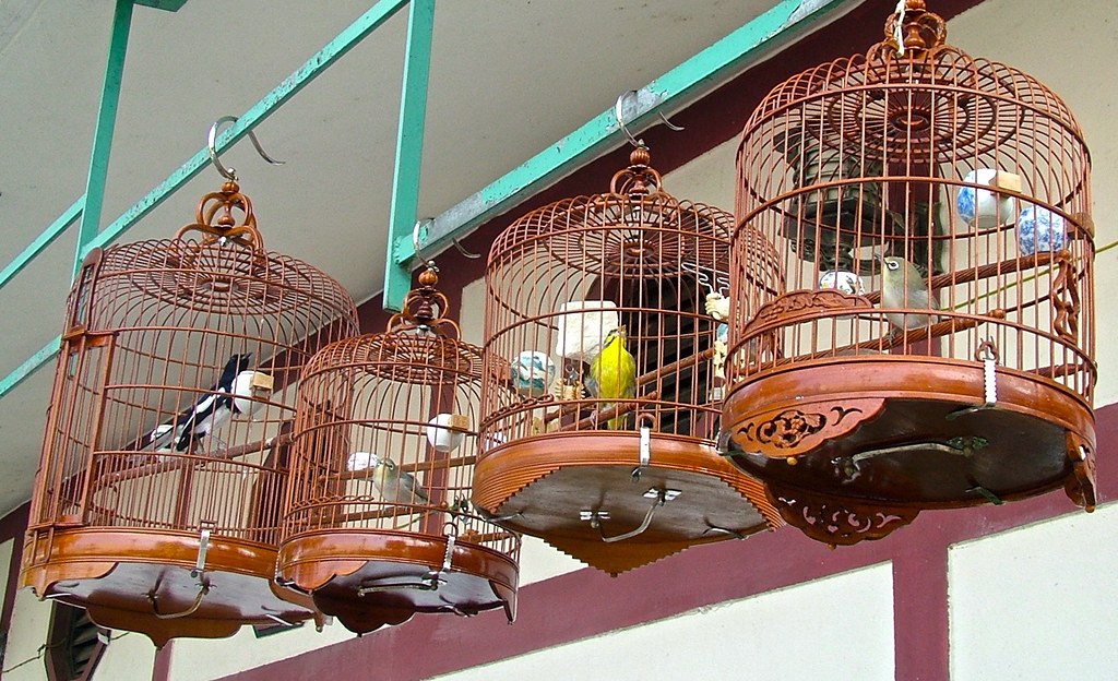 Yuen Po Street Bird Garden, Mong Kok, Hong Kong, China | Flickr