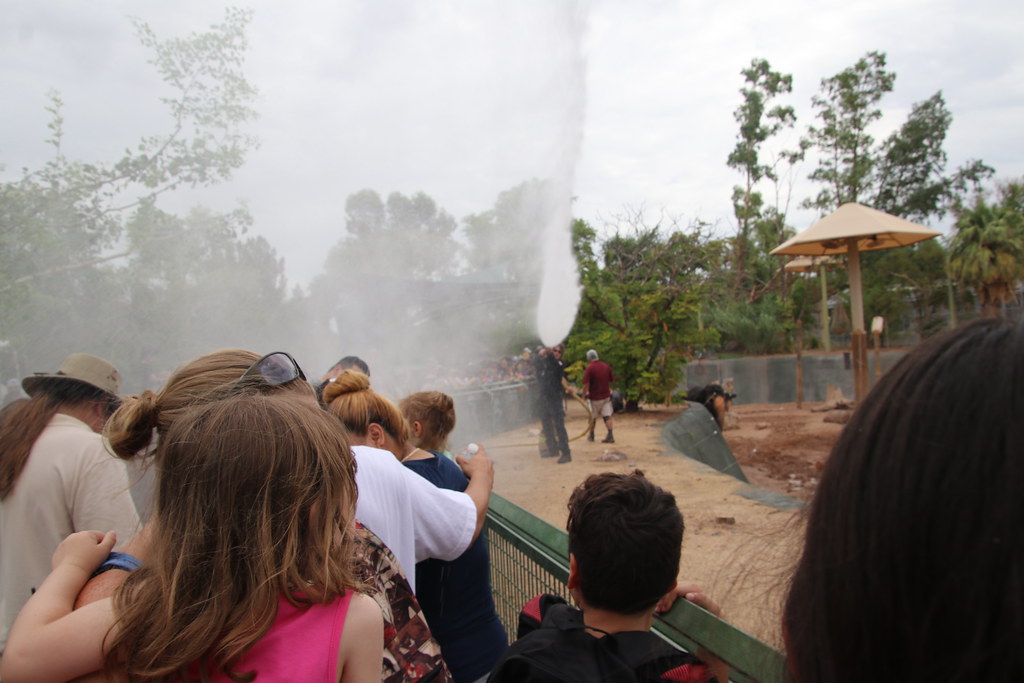 Winter in July at Phoenix Zoo: Reba the Asian Elephant Receives a Water Shower, Phoenix, AZ — July 14, 2018
